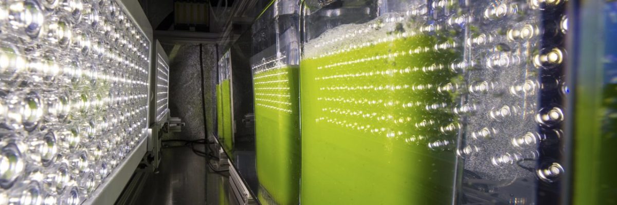 ATEC Team Spotlight | ATEC Blog