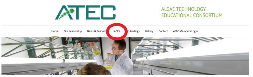 ACES: Part 2: Microalgae | ATEC Blog