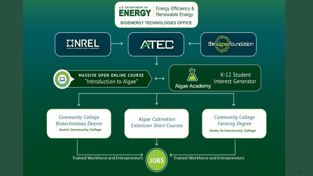 Algae Education and the Future of Bioeconomy | ATEC Blog