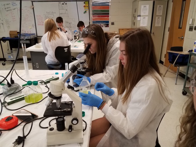 Algae Education and the Future of Bioeconomy | ATEC Blog